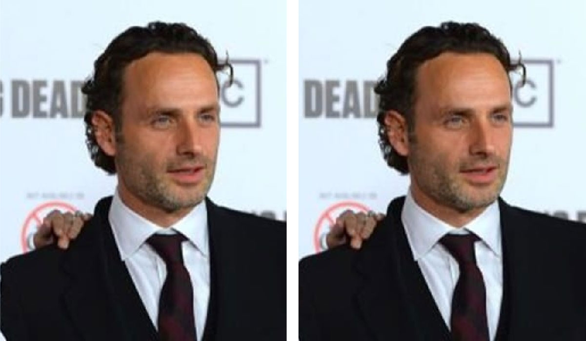 Josh Winterhalt: Age, Career, Family, Net Worth All About Sarah Wayne ...